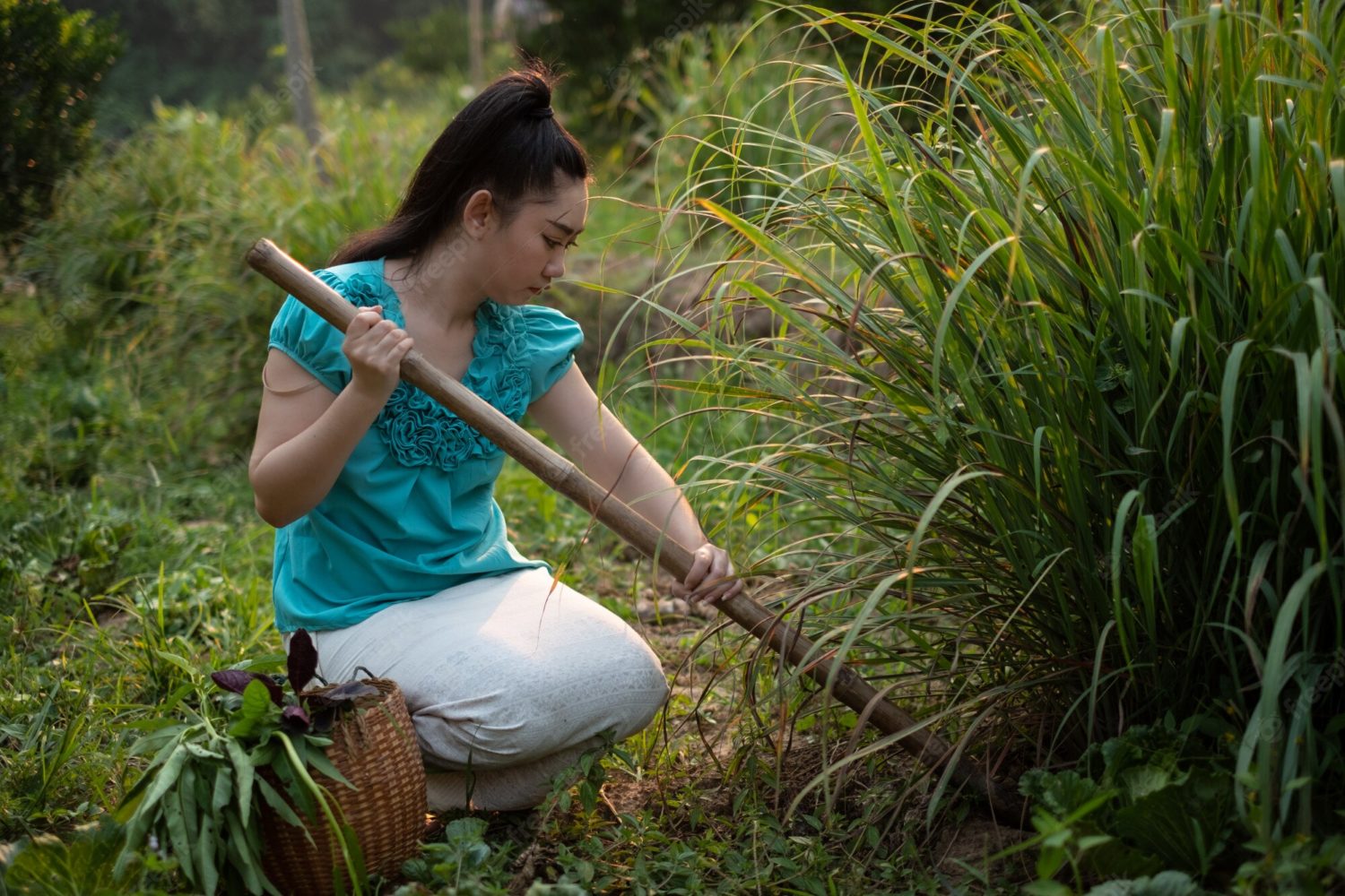 La Ley Animalista obliga a desenterrar cada tres días a la tortuga que ...