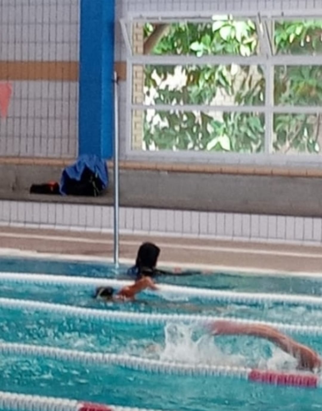 ProNostrum, contra el burka – Alerta Digital