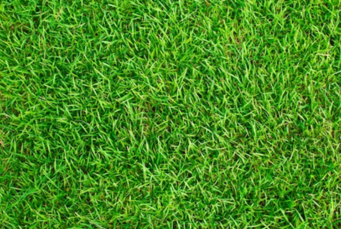 Todo lo que necesitas saber sobre el césped artificial: Ventajas y ...