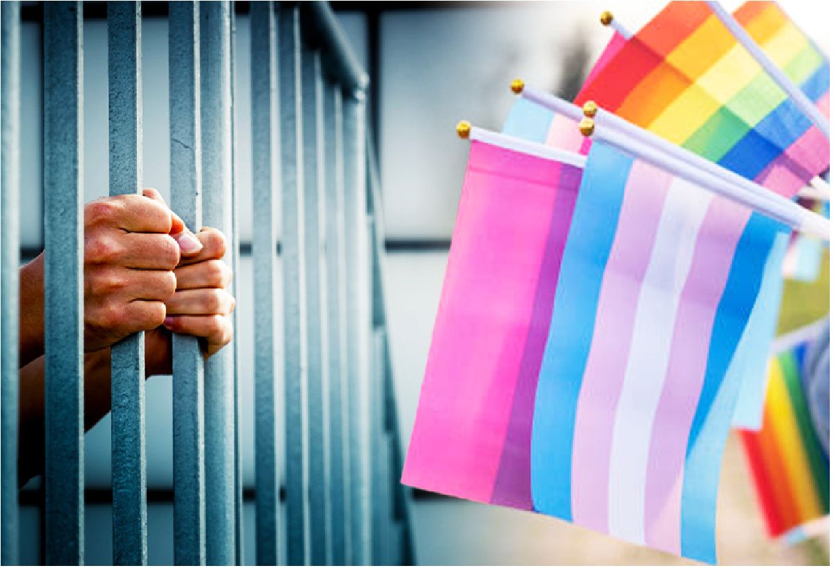 Liberado un maestro irlandés liberado después de permanecer más de 400 ...