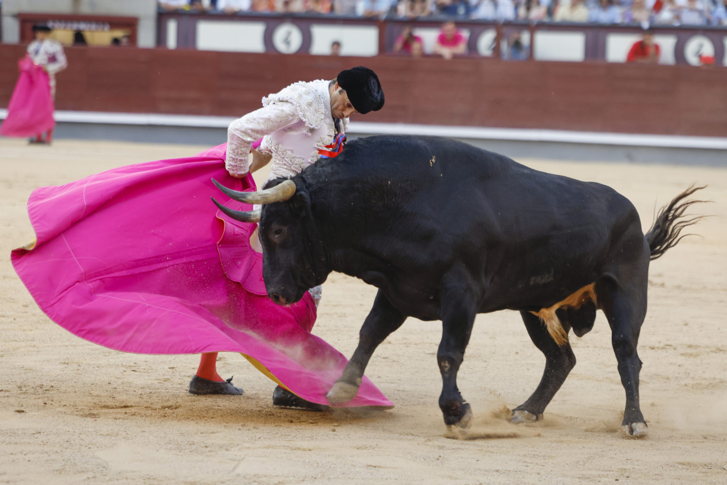 Semana histórica en Telemadrid: los toros lideran audiencia con picos ...